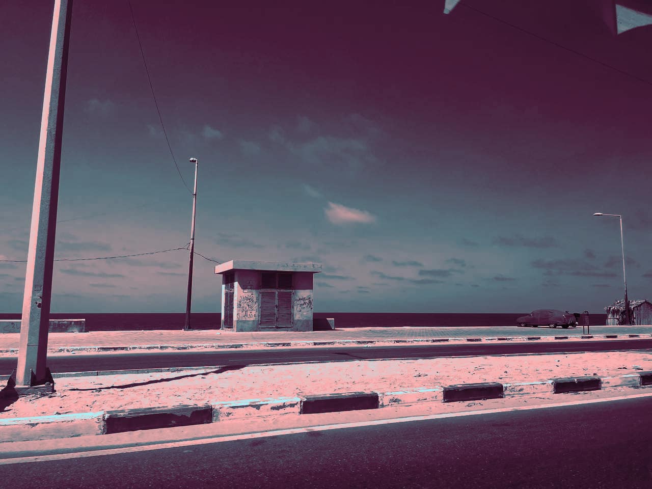 Home - My Dear Gaza | غزة حبيبتي